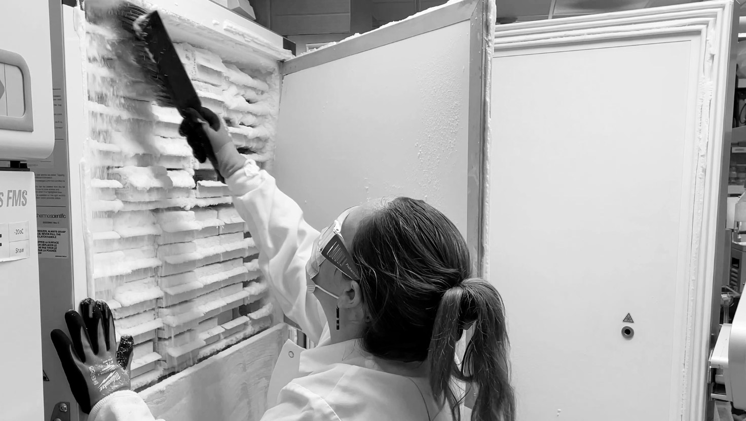 Freezer Challenge